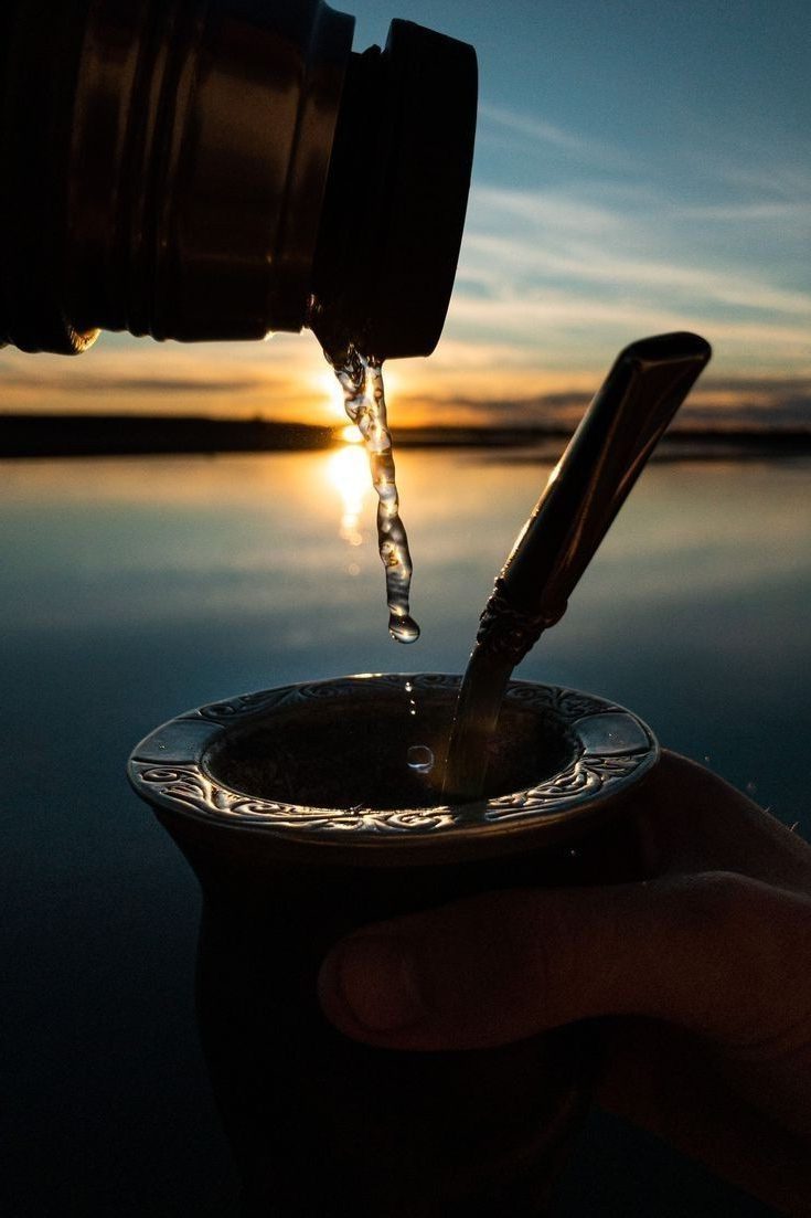 ¿Cómo preparar un mate perfecto desde cero?